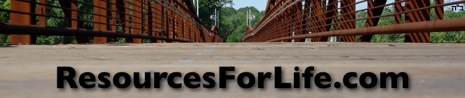 20110608we-rfl-header-bridge.jpg – Resources For Life