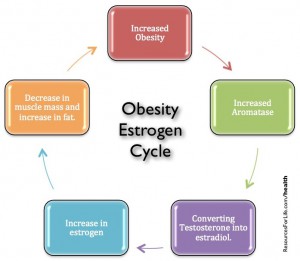 Obesity and High Estrogen Levels in Men: Symptoms, Causes, Testing ...