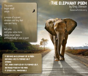 The Elephant Poem by Greg Johnson – Resources For Life