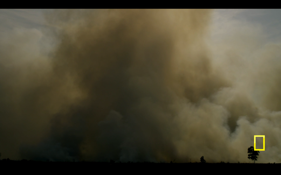 20161030su-before-the-flood-leonardo-dicaprio-global-warming-climate ...