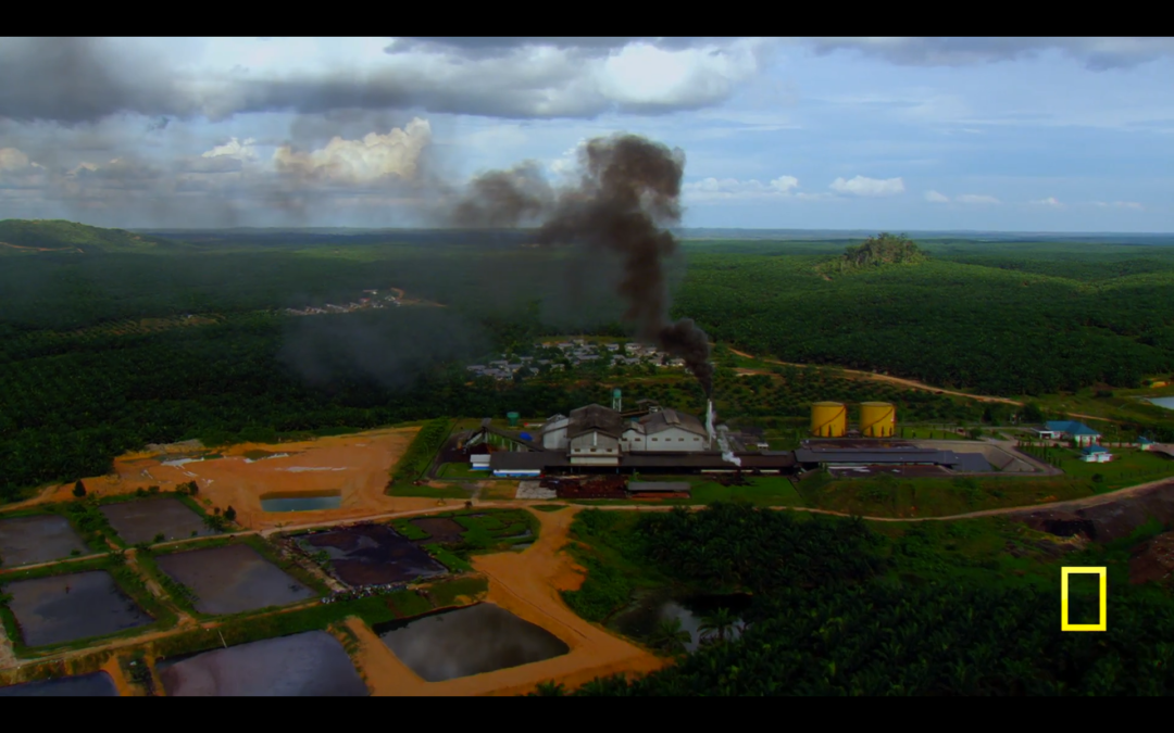 20161030su-before-the-flood-leonardo-dicaprio-global-warming-climate ...